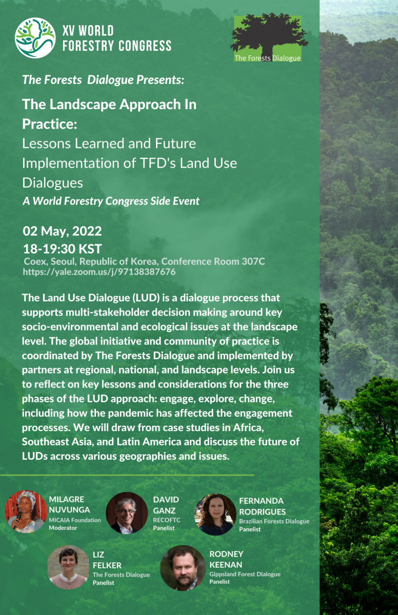 TFD Side Events at the XV World Forestry Congress! | The Forests Dialogue